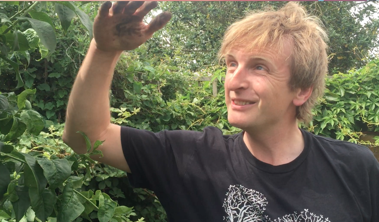 Backyard Tracks – Alex Rankin